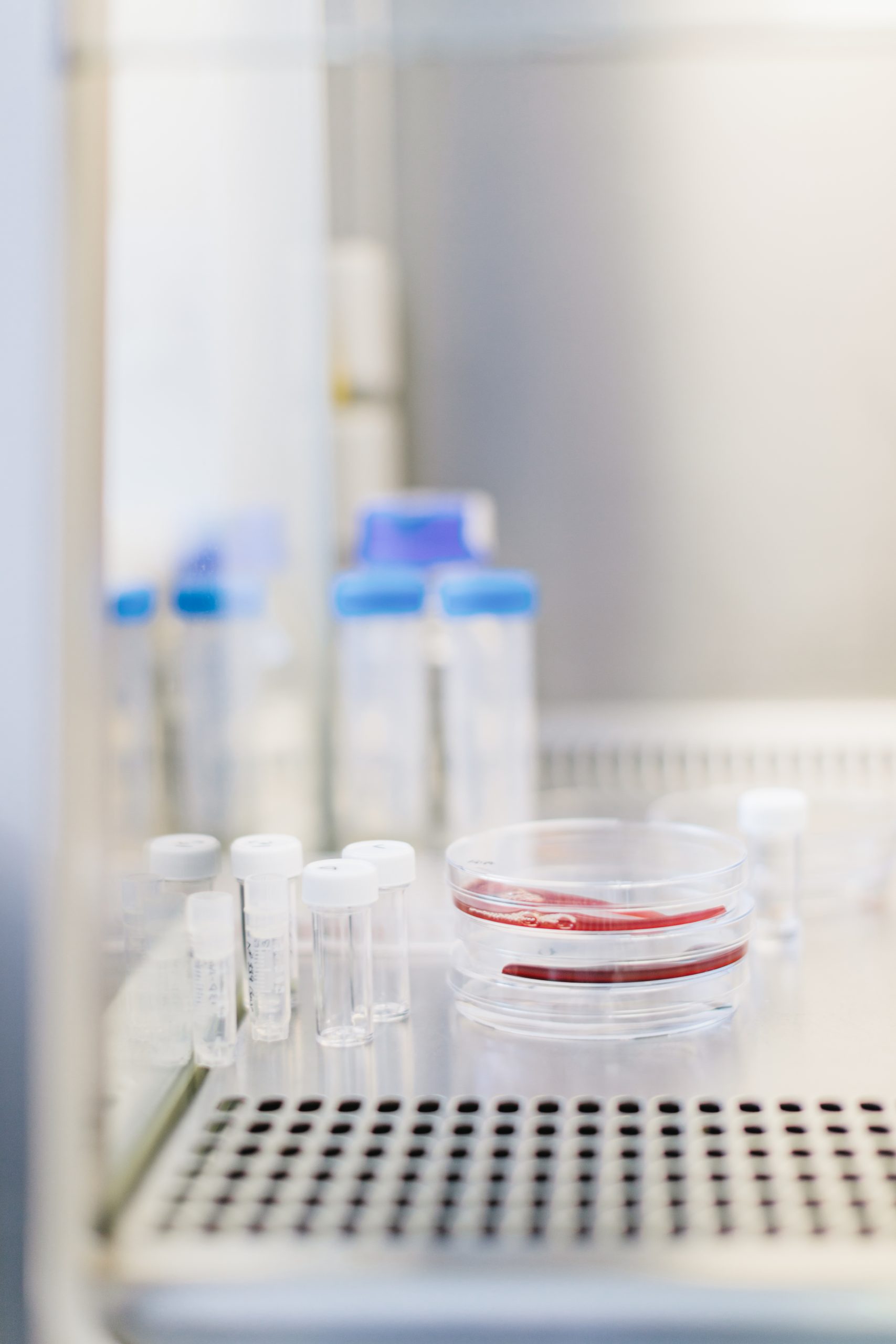 NovaBiotics secures £1m funding for COVID 19 project - Novabiotics